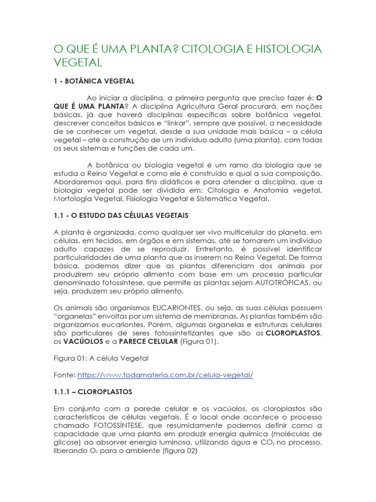 Definição e Estrutura das Plantas | PDF | Raiz | Plantas