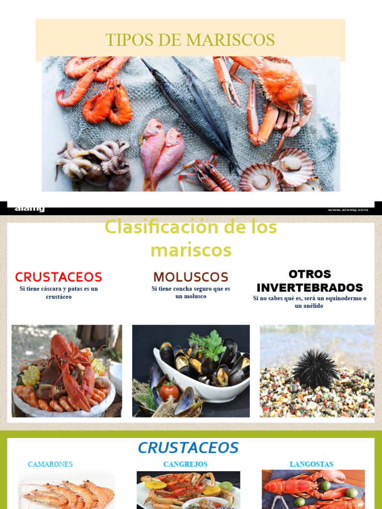 Disertacion Tipos de Mariscos | PDF | Mariscos | Alimentos