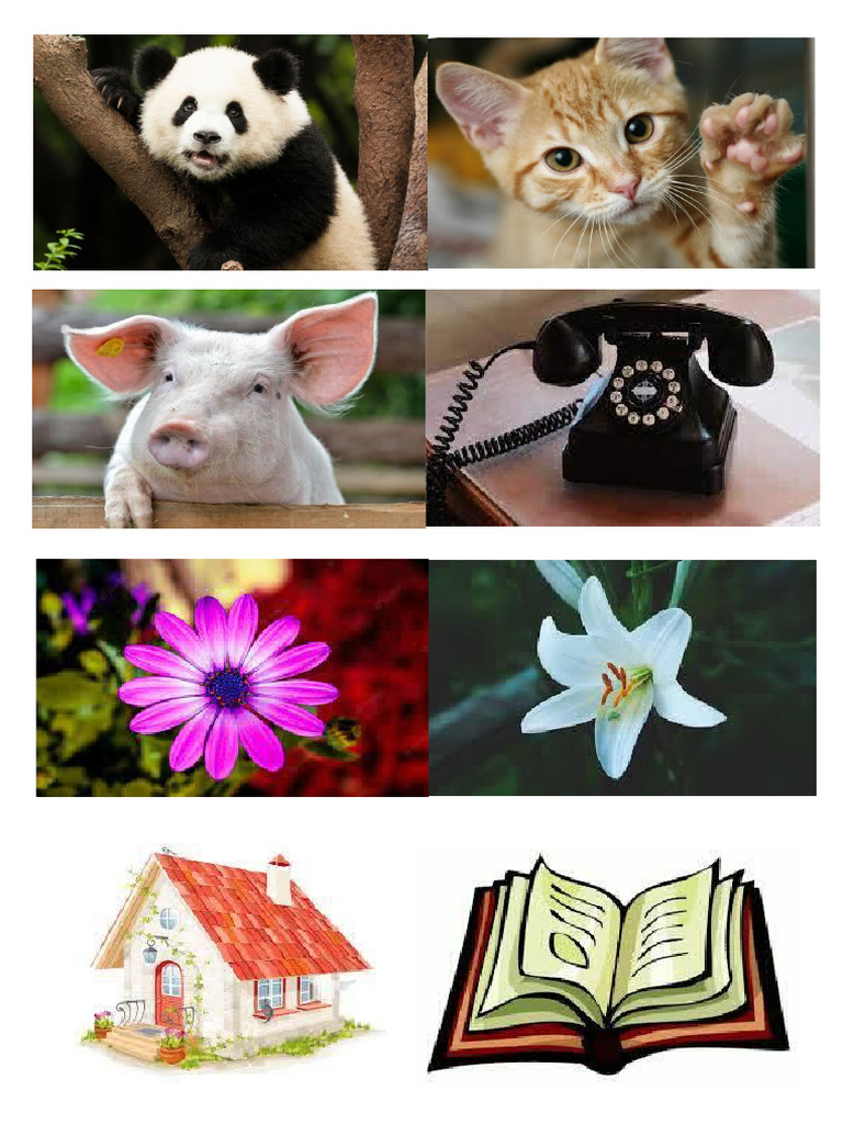 COSAS | PDF