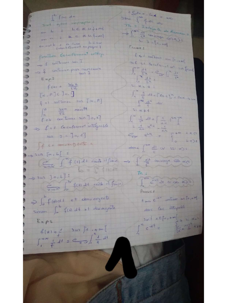 Les Integrales | PDF