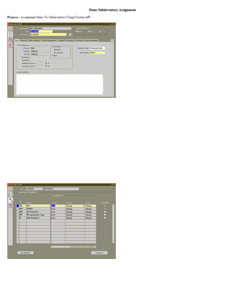Purpose: Assignment Items To Subinventory Using Custom API | PDF | Parameter (Computer ...