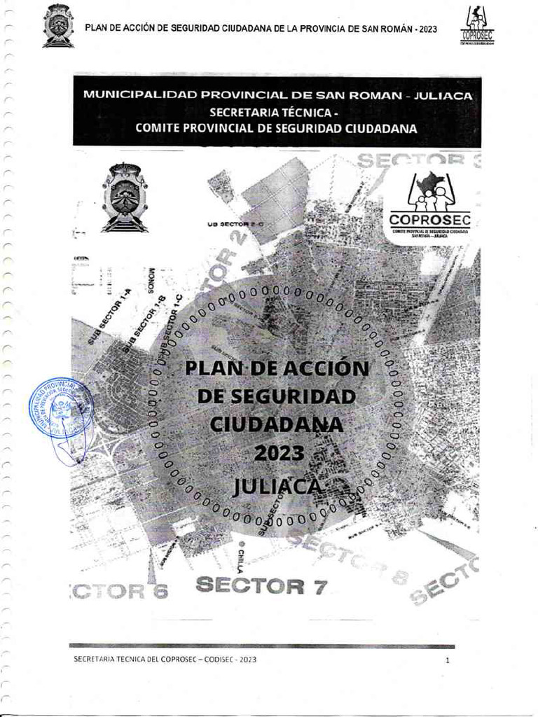 Plan de Accion de Seguridad Ciudadana - Pasc 2023 | PDF