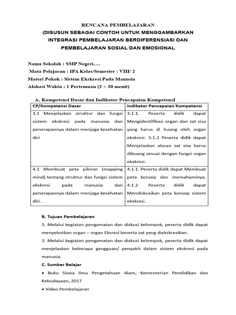 Skenario Pemb Eksresi Berdiferensiasi | PDF