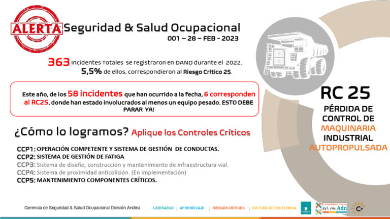 Alerta Seguridad 001 - RC 25 | PDF