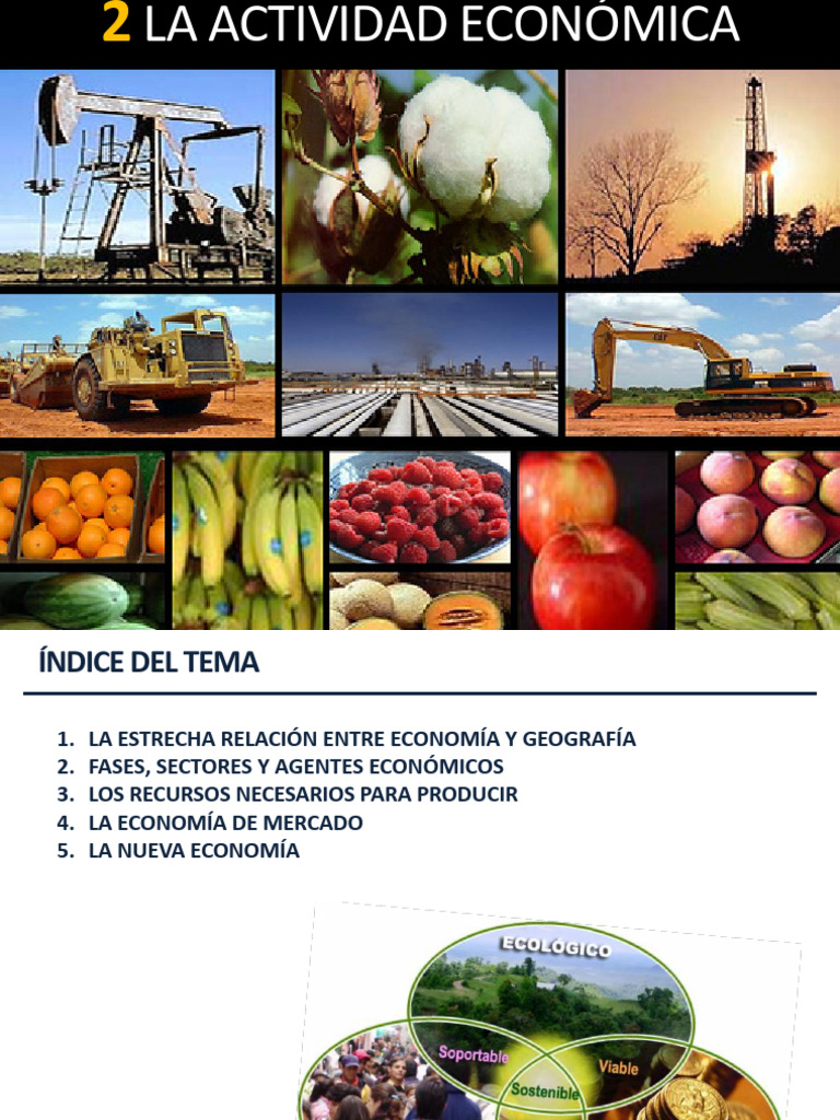 La Actividad Económica | PDF | Energía renovable | Business