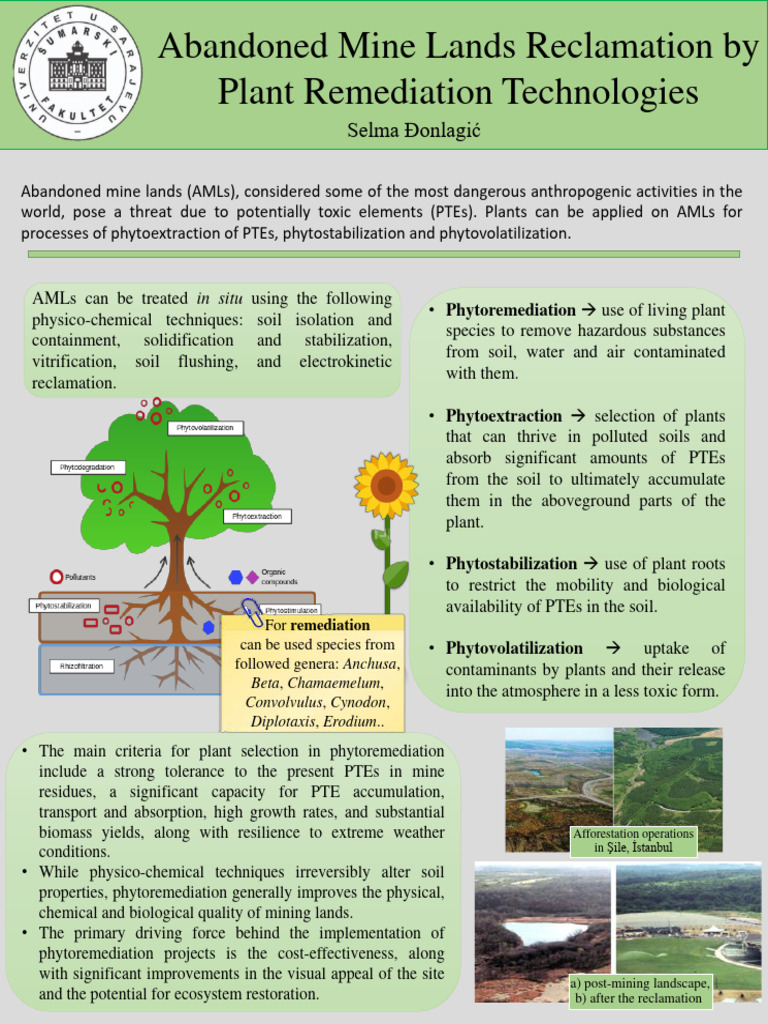 Abandoned Mine Lands Reclamation by Plant Remediation Technologies ...