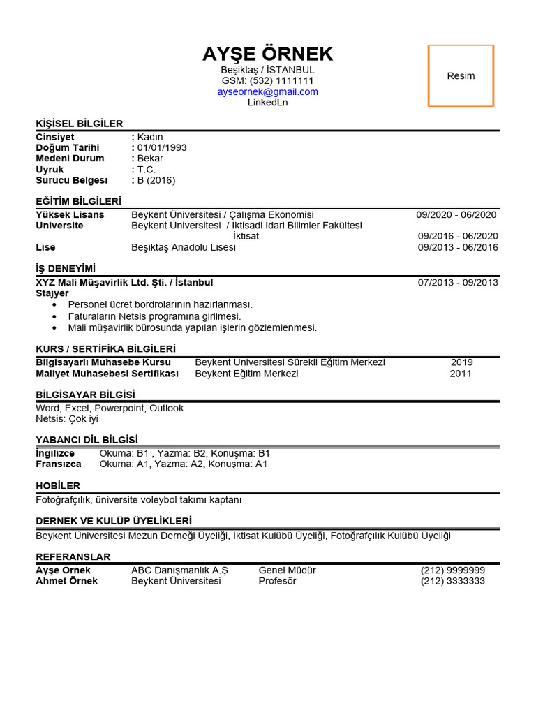 Ornek CV 1 | PDF