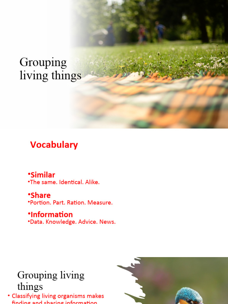 Grouping Living Things | PDF