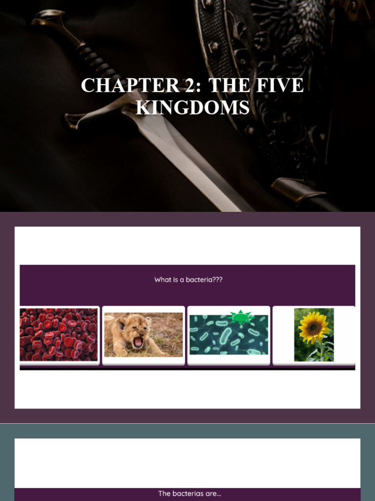 Chapter 2 The Five Kingdom 2 | PDF