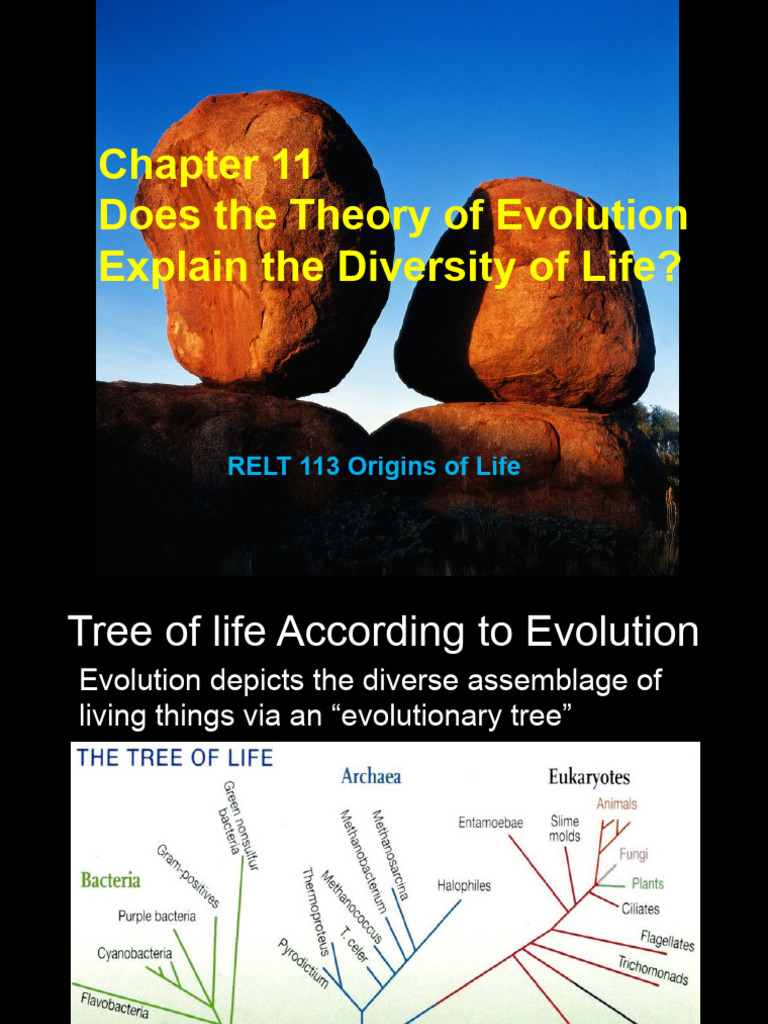11 Does The Theory of Evolution Explain The Diversity of Life | PDF