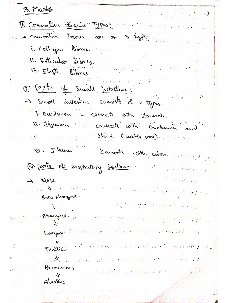 3 Marks Answers Anatomy | PDF