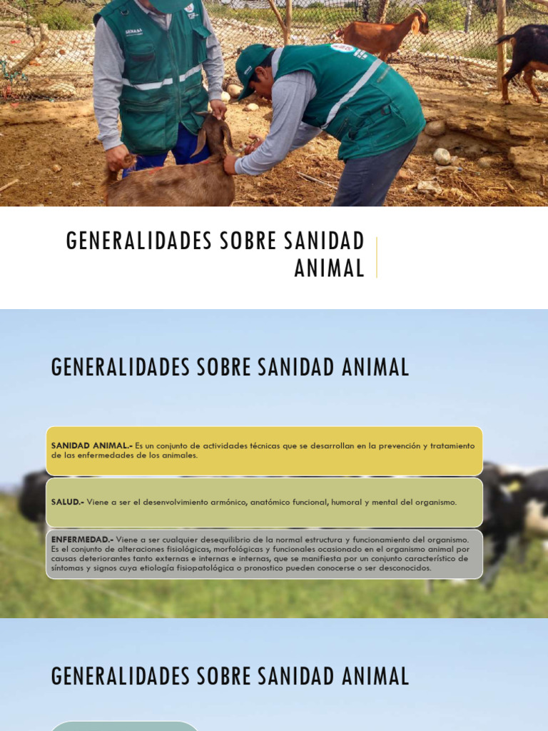 Generalidades de Sanidad Animal | PDF | Infección | Salud pública