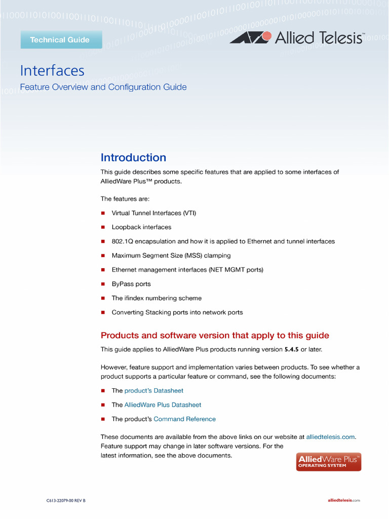 Interface Printed Pdf