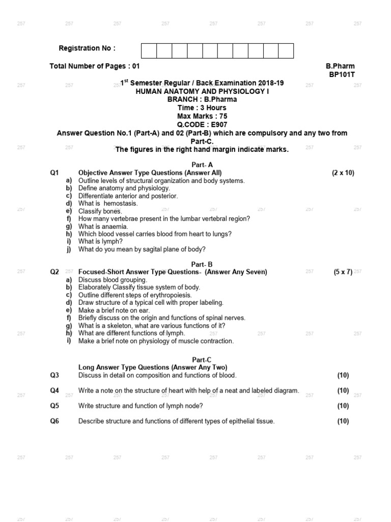 1st Sem BPH Question 2018 19 | PDF