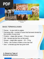 Swine Terminology and Definitions | PDF | Pig | Livestock
