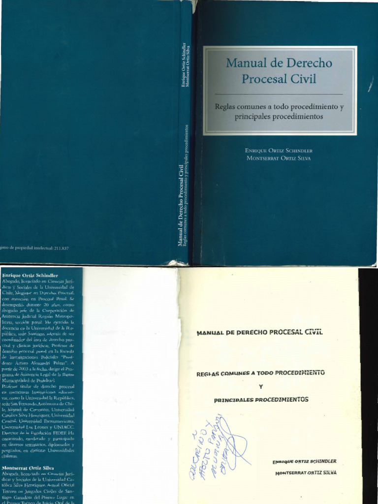 Manual Derecho Procesal Civil | PDF