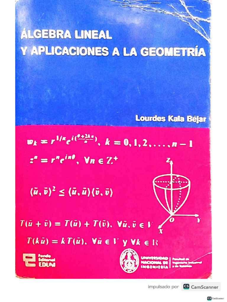 Álgebra Lineal y Aplicaciones A La Geometría Tomo 1 | PDF | Matemáticas | Álgebra