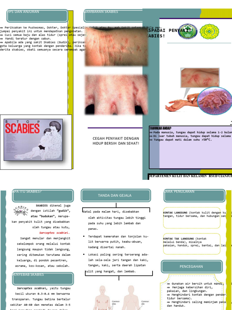 Leaflet Scabies | PDF