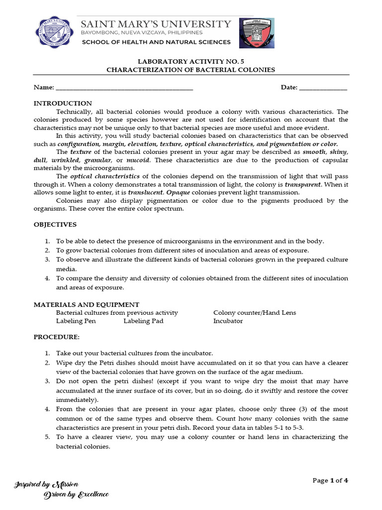 Bacterial Colony Characterization Lab Activity | PDF | Growth Medium ...