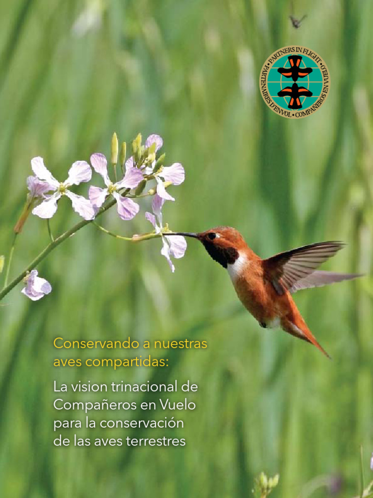 PIF2010 Spanish Final | PDF | Aves | Migración de aves