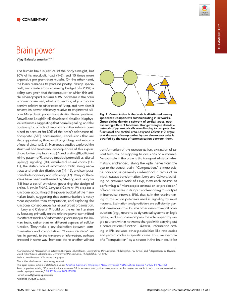 Brain Power | PDF | Chemical Synapse | Brain