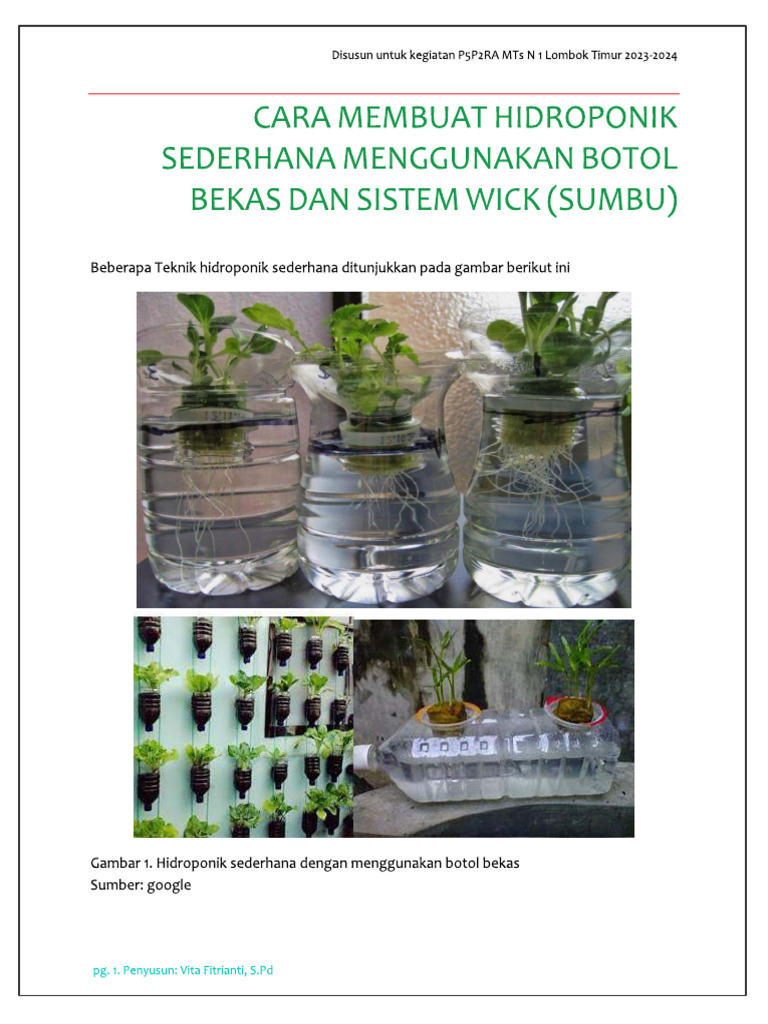 Cara Membuat Hidroponik Sederhana | PDF