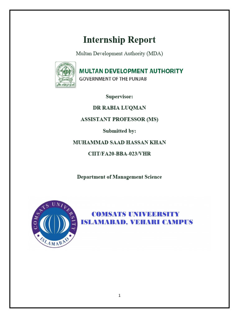Degree Report of Mda Saad | PDF | Sustainability | Green Infrastructure