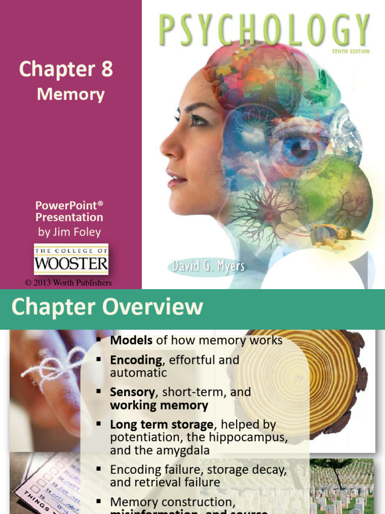 Memory Myers | PDF | Memory | Recall (Memory)