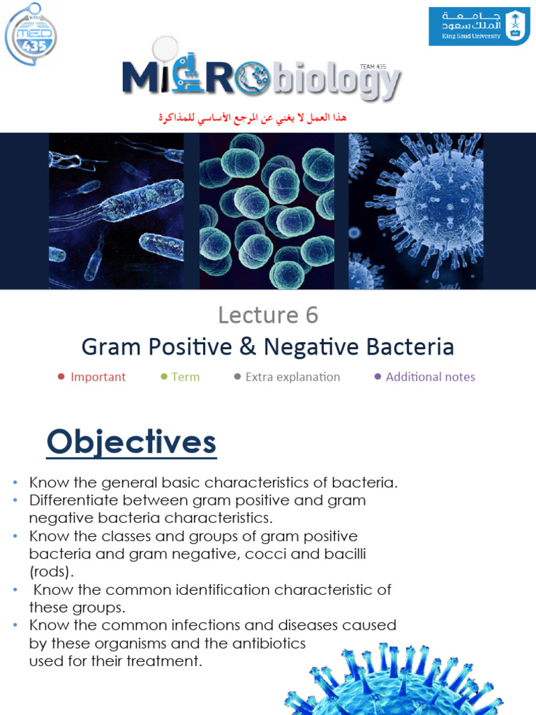 6-Gram Positive & Negative Bacteria | PDF