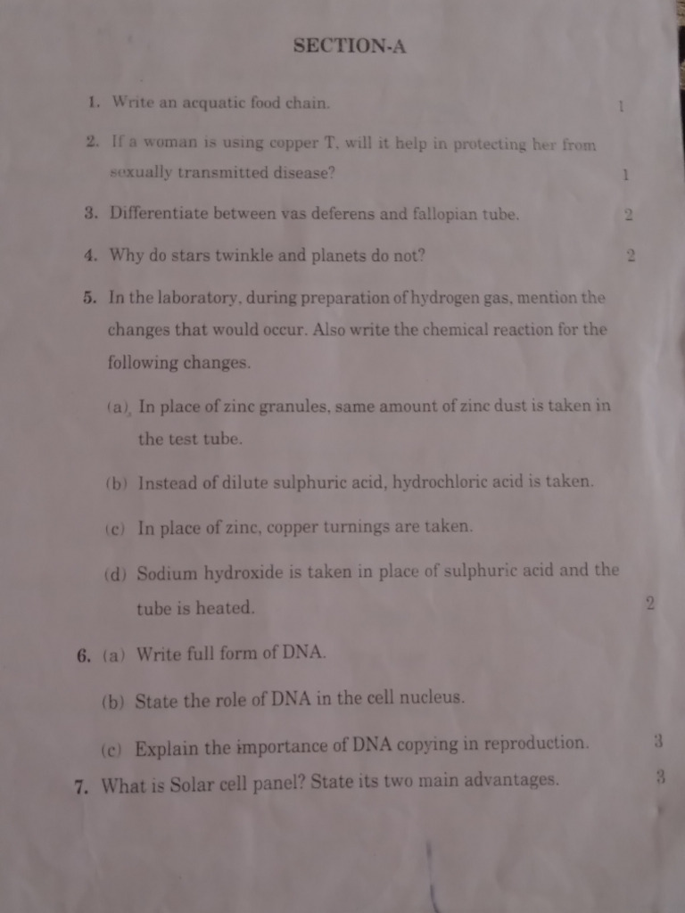 Question Paper X 1 | PDF