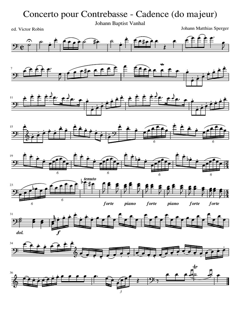 IMSLP686493-PMLP453917-Concerto Pour Contrebasse - Cadence (Do Majeur ...