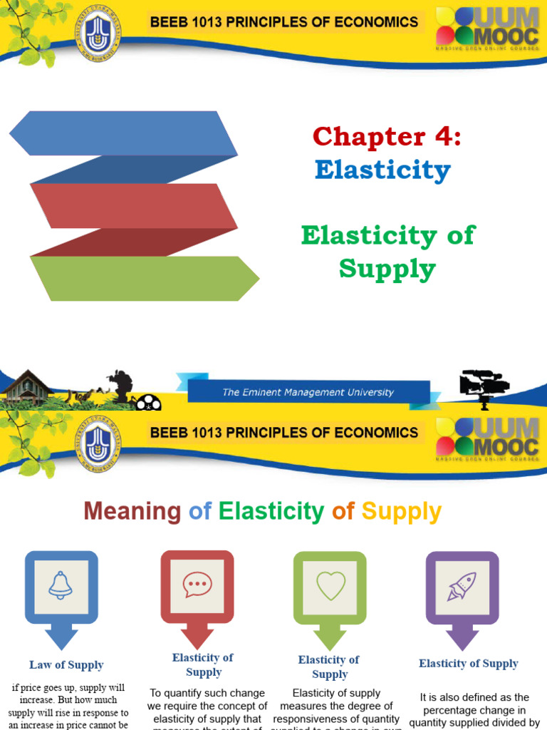 Price Elasticity of Supply | PDF | Elasticity (Economics) | Economic ...