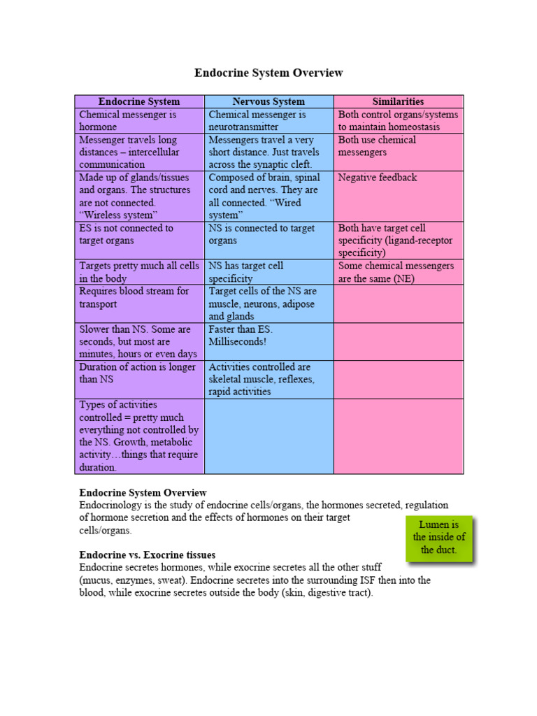 AP 18 Endocrine Overview | PDF | Endocrine System | Pituitary Gland