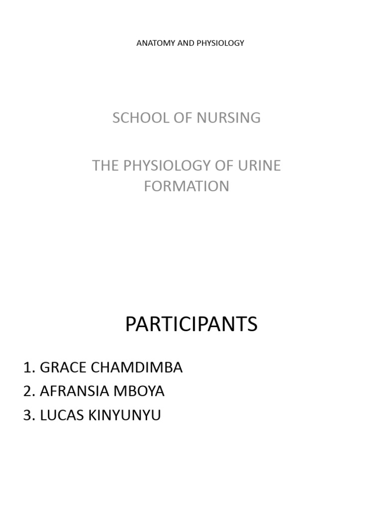 Group 10 Urine Formation | PDF | Kidney | Urinary System