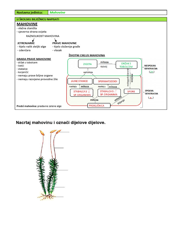 Mahovine | PDF