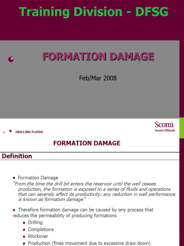 Formation Damage 1.0 | PDF