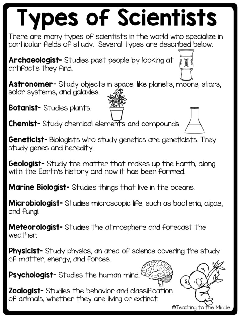 Types of Scientists Identification Student Version BW | PDF