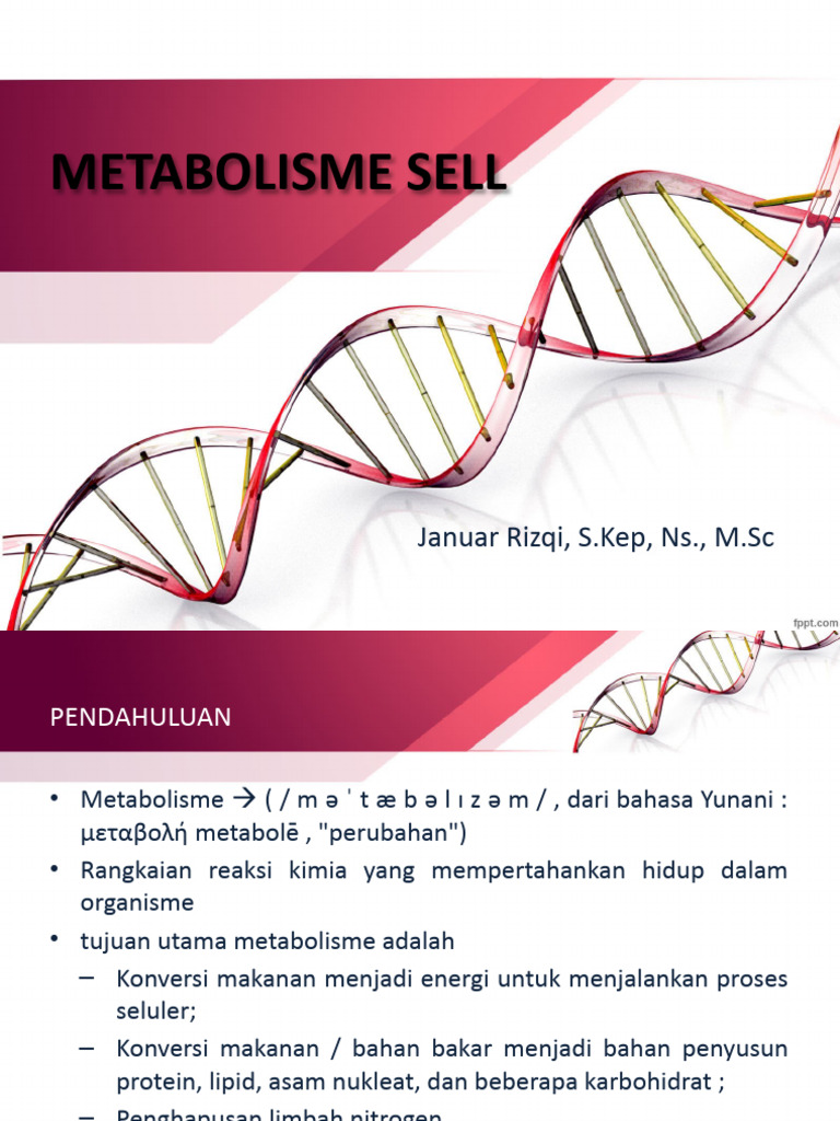 Metabolisme Sel | PDF