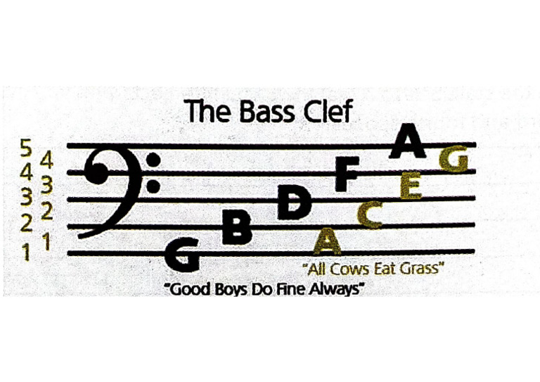 Bass Clef | PDF