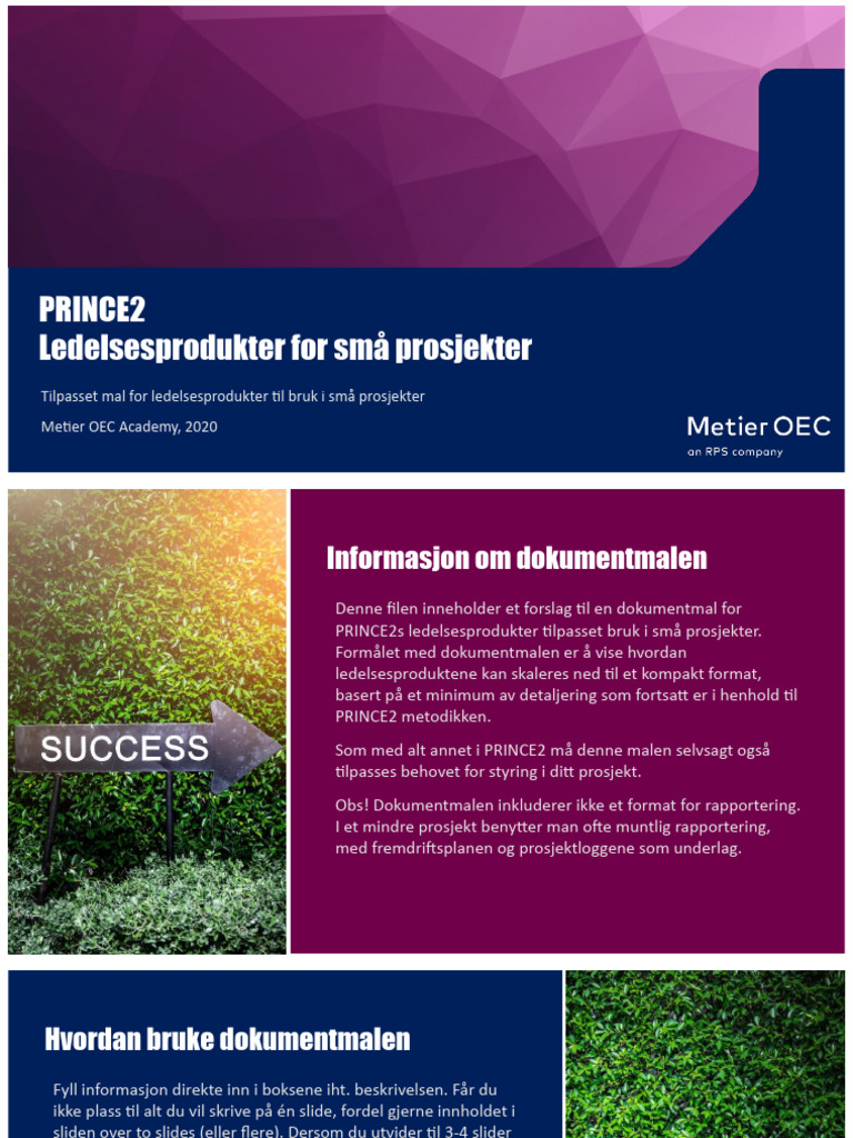 PRINCE2 - Ledelsesprodukter For Små Prosjekter | PDF