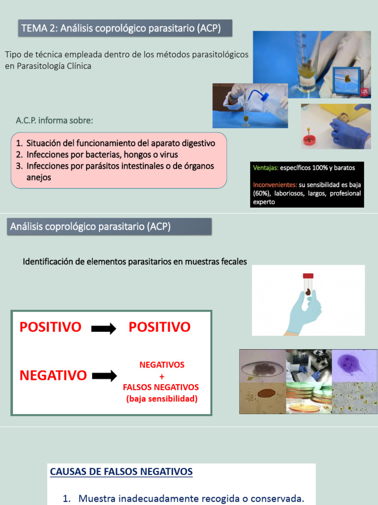 Tema 2. ACP(2) | PDF | Heces | Tinción
