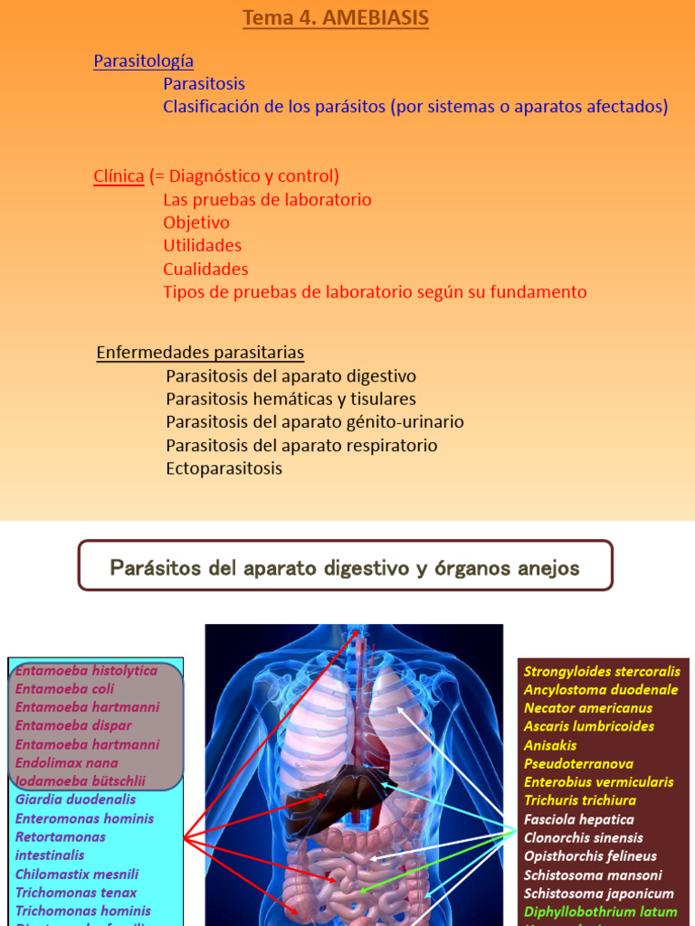 Tema 4. Amebiasis | PDF | Medicina CLINICA | Especialidades Medicas