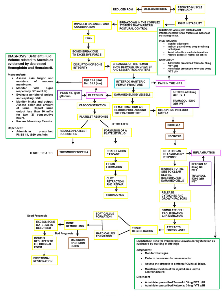 DIAGNOSIS: Deficient Fluid Volume Related To Anemia As Evidenced by ...