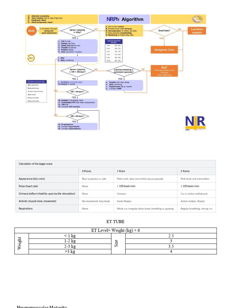 Pedia Cheat Sheet | PDF