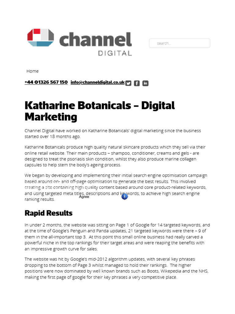Katharine Botanicals Internet Marketing Case Study - Channel Digital | PDF | Search Engine ...