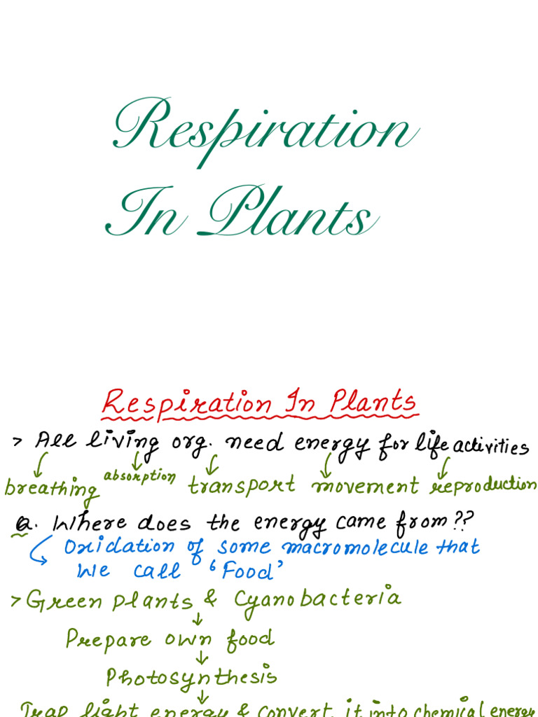Respiration in Plants | Download Free PDF | Cellular Respiration | Cell ...