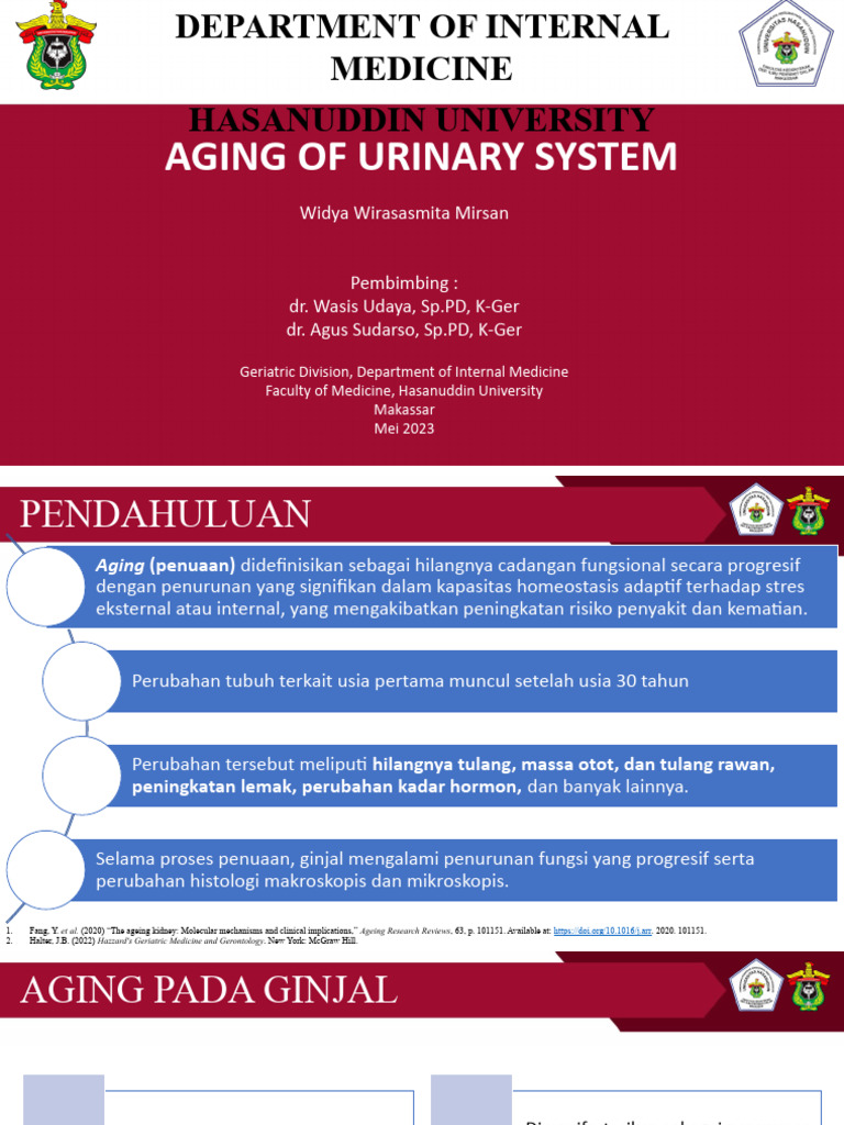 Aging of Urinary System | PDF