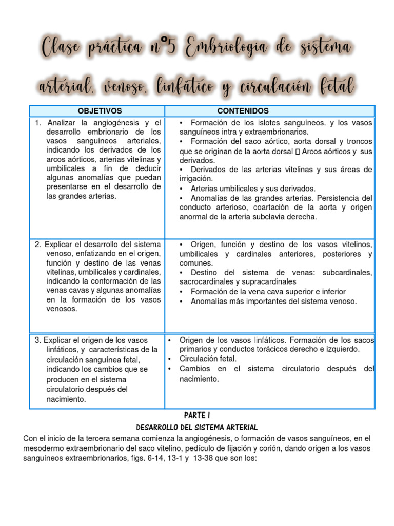 Clase Práctica n.5 Apunte Micro Ll Docx | PDF | Sistema circulatorio | Feto