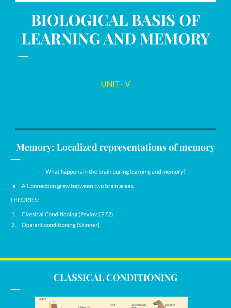 Biological Basis of Learning and Memory | PDF | Memory | Hippocampus