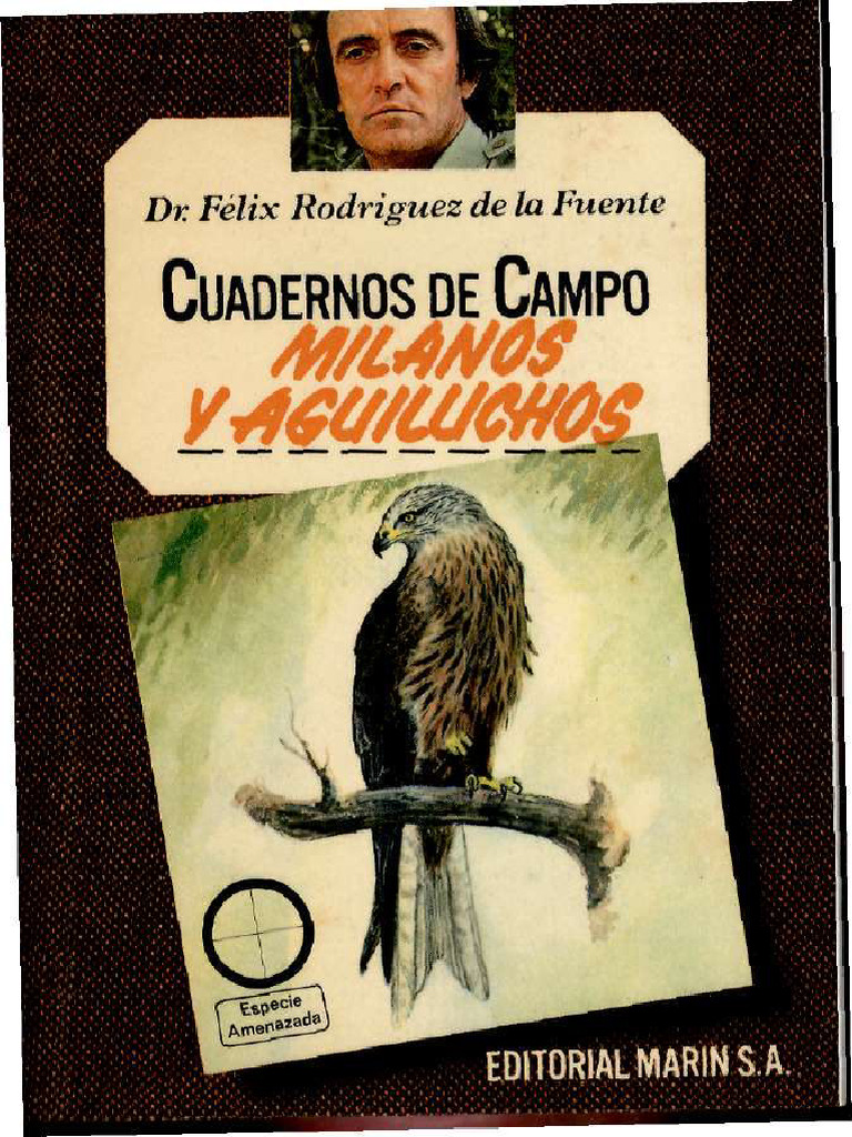Cuadernos de Campo. Milanos y Aguiluchos. Félix Rodríguez de La Fuente ...